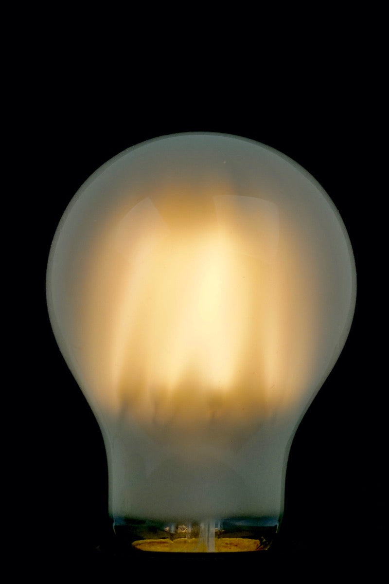 Frosted Filament LED Bulbs | Energy Efficient Lighting | Urban Cottage ...