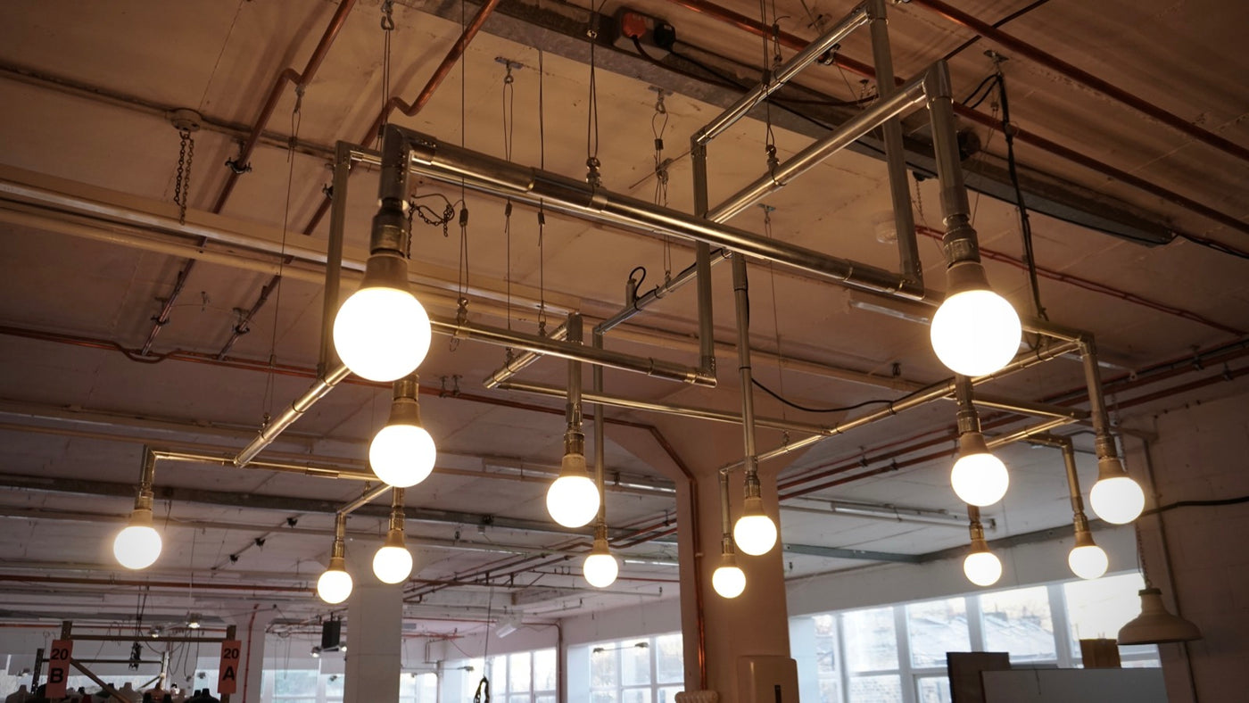 Tubular Cells Components